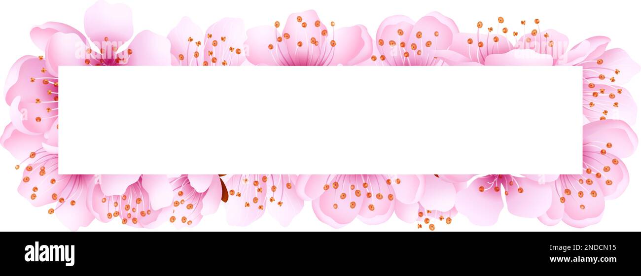 Sakura frame. Japanese pink petal blossom border Stock Vector Image ...