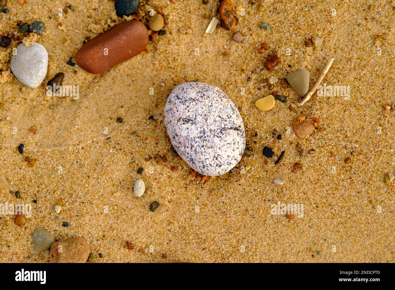 Dots on beach hi-res stock photography and images - Alamy
