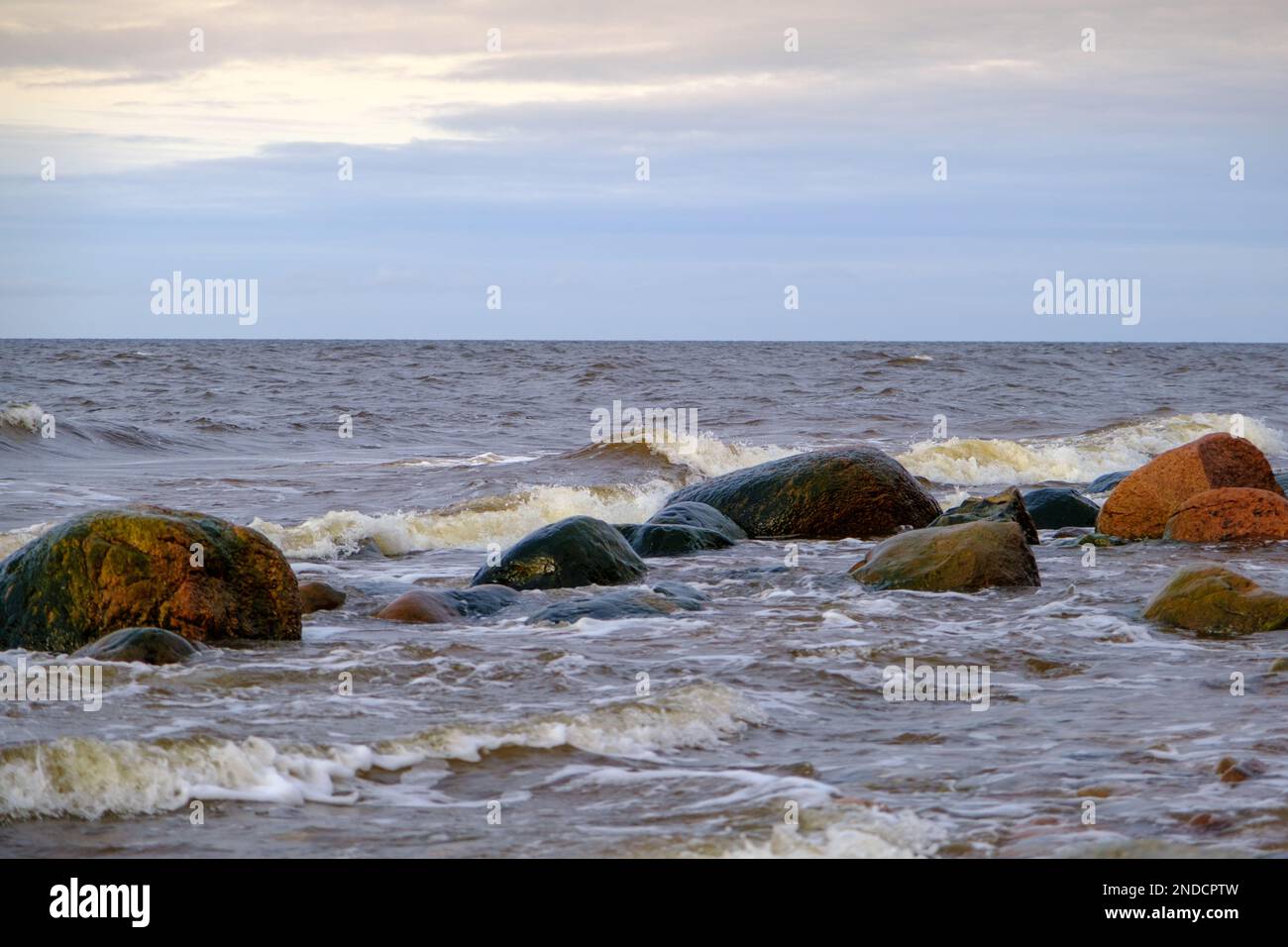 The waves of the Baltic Sea wash the stones of different sizes on the ...