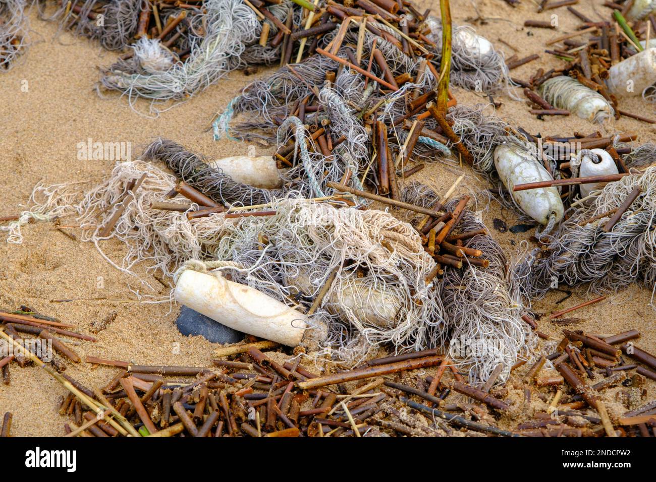 discarded fishing net washed up on the beach endangers marine life ...