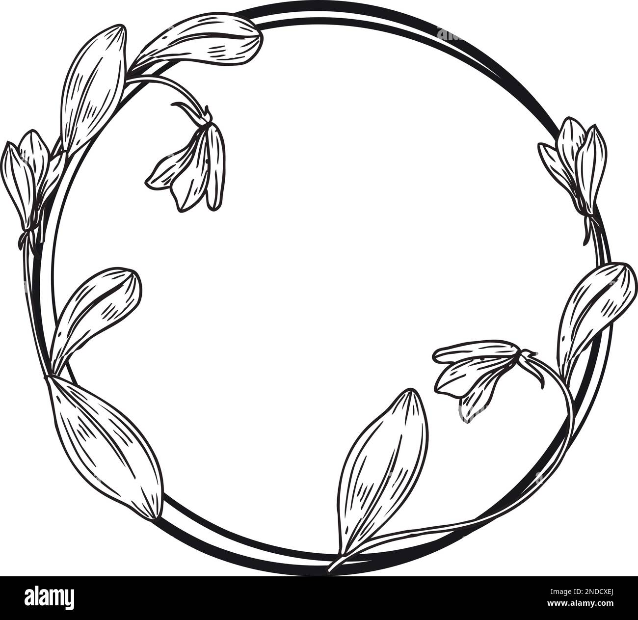 Botanical round frame. Retro floral border circle Stock Vector Image ...