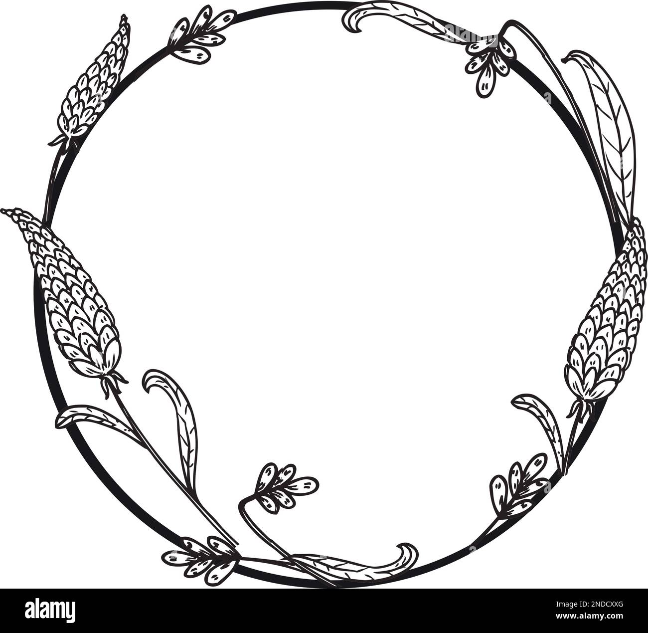 Floral wreath frame. Decorative elegant botanical circle Stock Vector ...