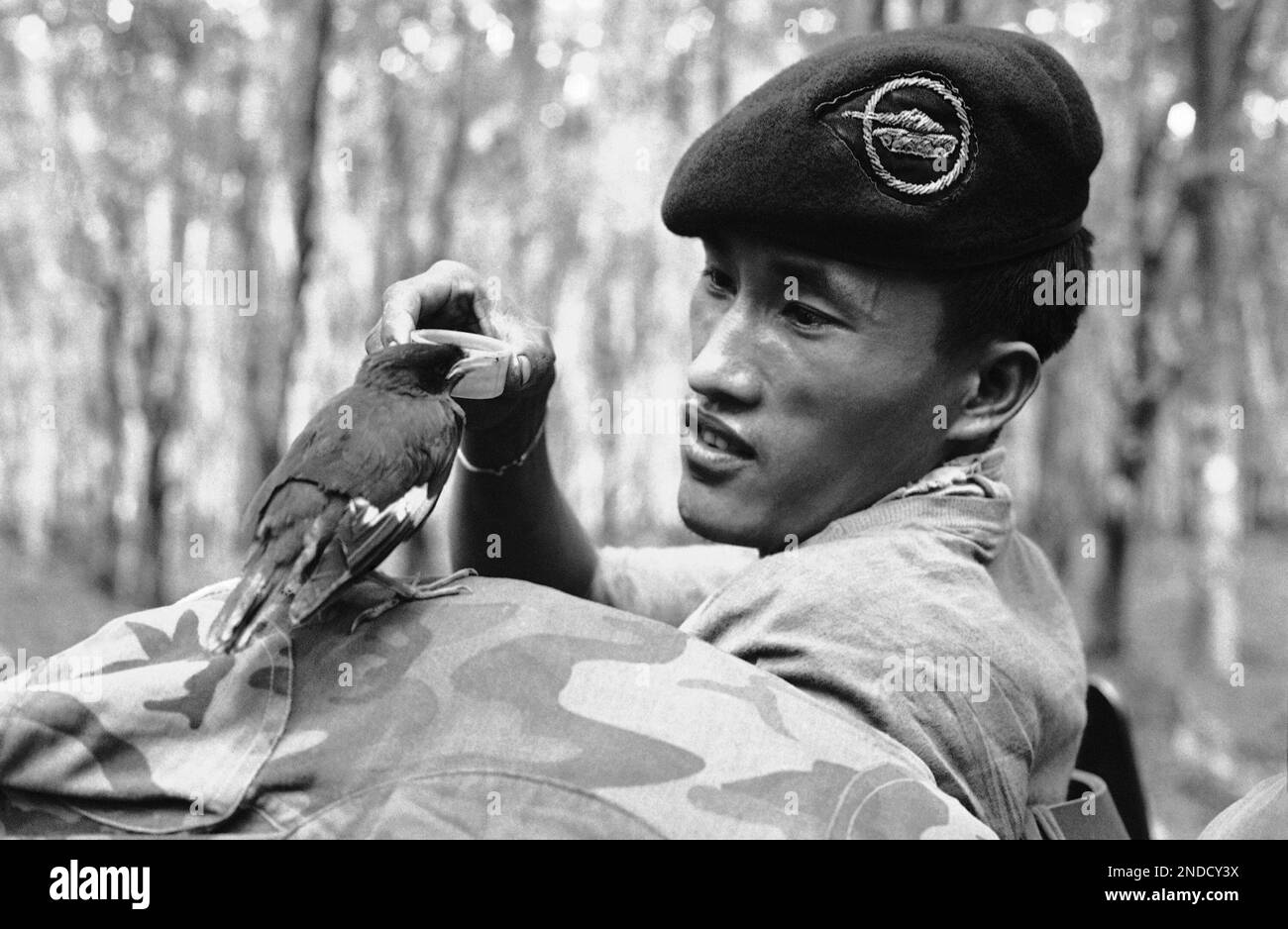 South Vietnamese soldiers play with a pet bird as they ride an armored ...