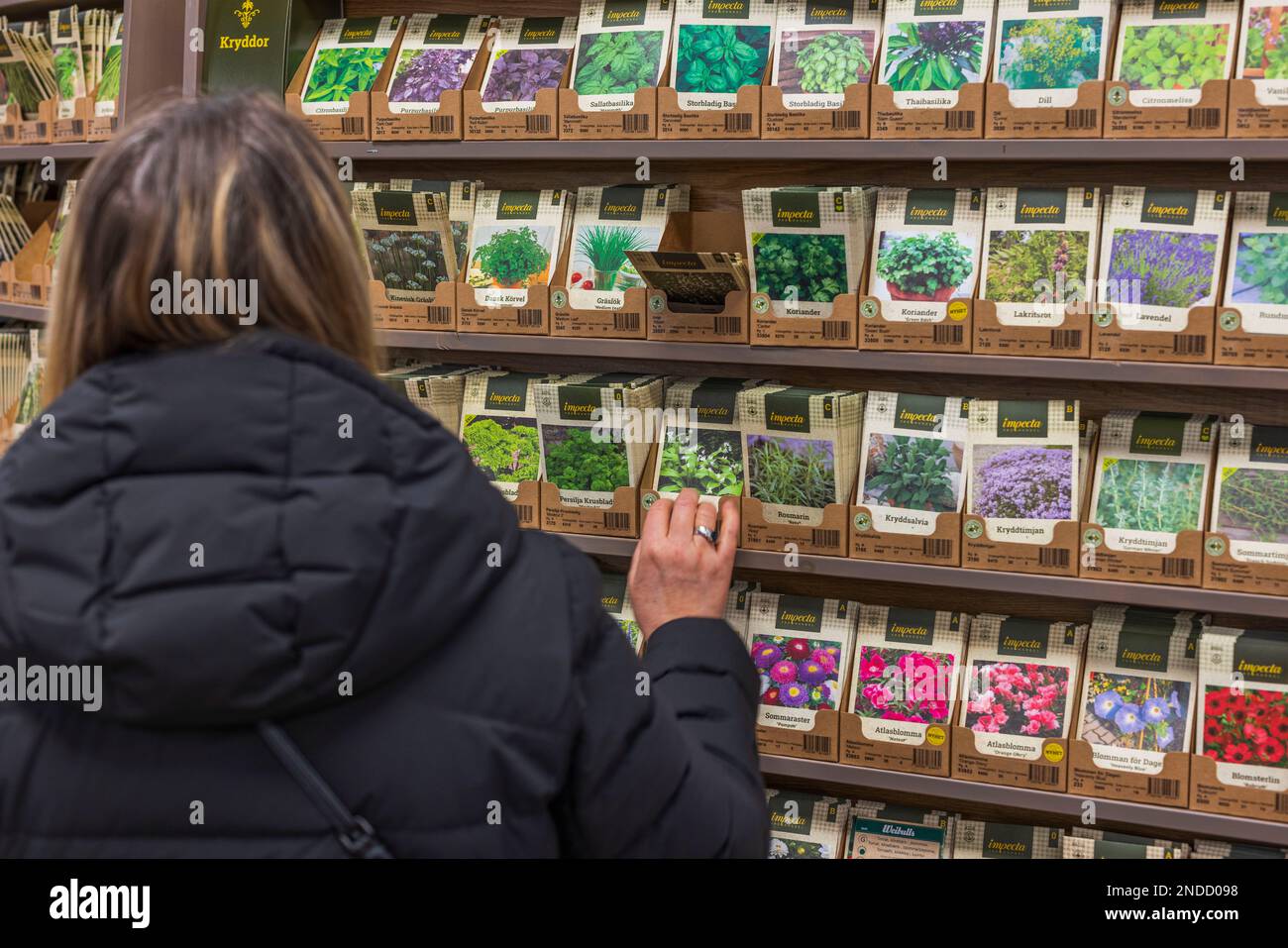 Woman chooses bags of vegetable seeds to grow in her garden. Sweden ...