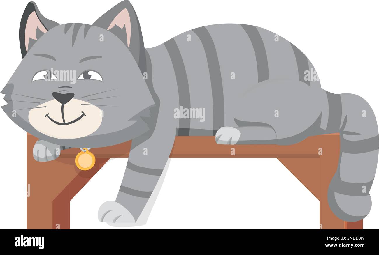 Fluffy cat on wooden Cut Out Stock Images & Pictures - Alamy