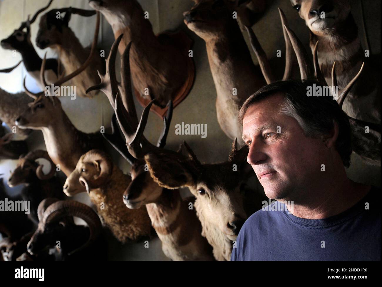 This Wednesday, July 14, 2010 photo shows taxidermist Gary Robbins as ...