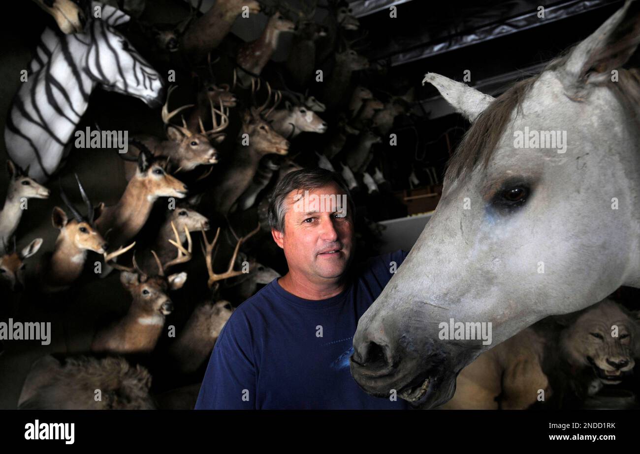 This Wednesday, July 14, 2010 photo shows taxidermist Gary Robbins as ...