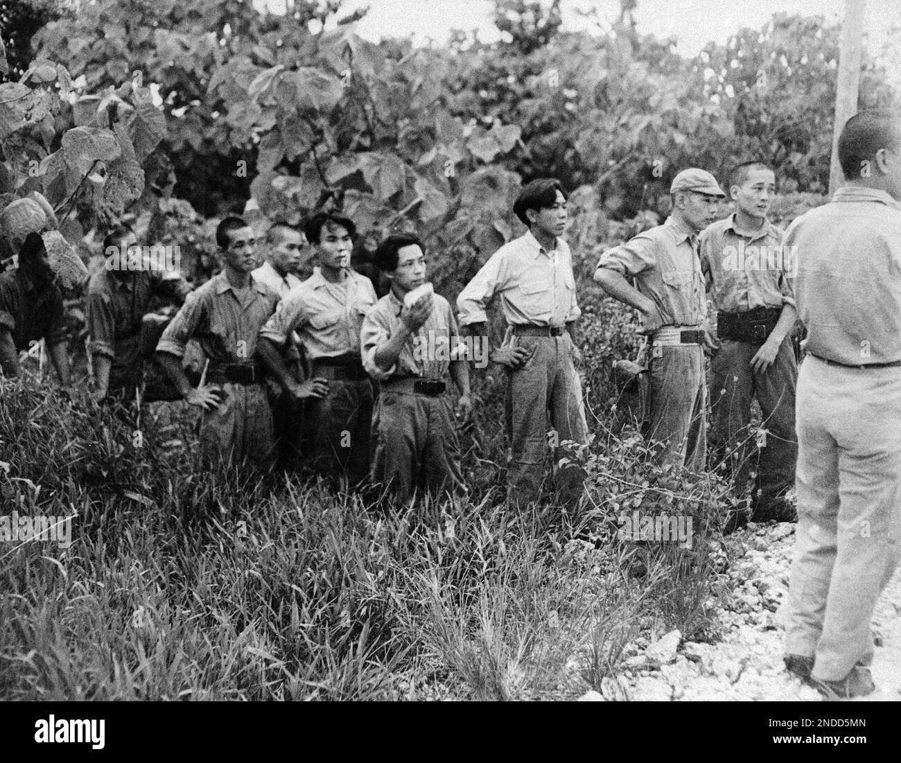 Twenty six Japanese soldiers and sailors who held out in the underbrush ...