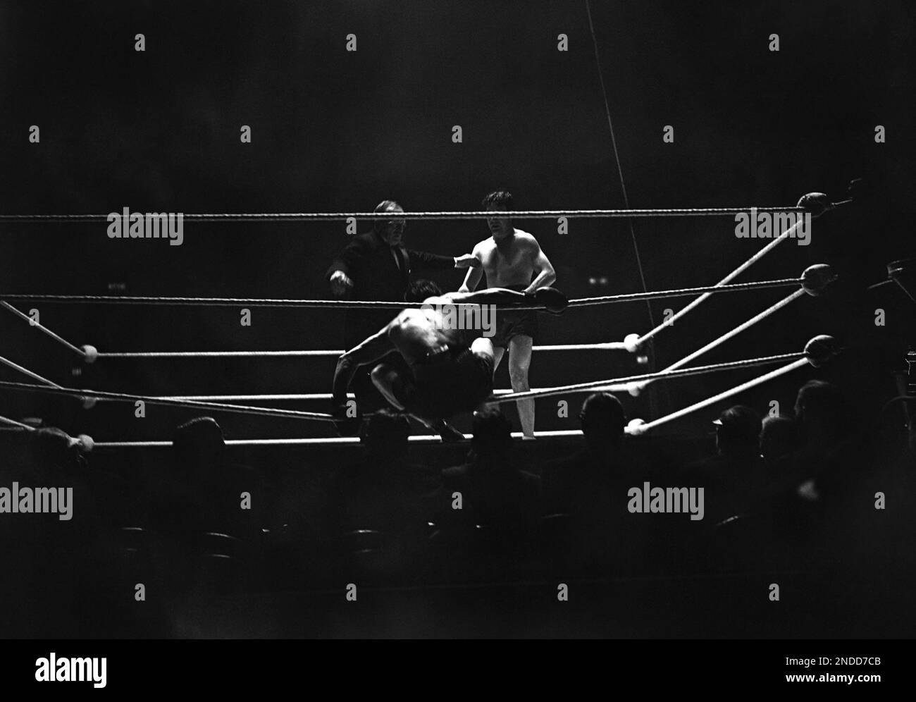 Eddie Phillips falls against the ropes after receiving a punch from ...