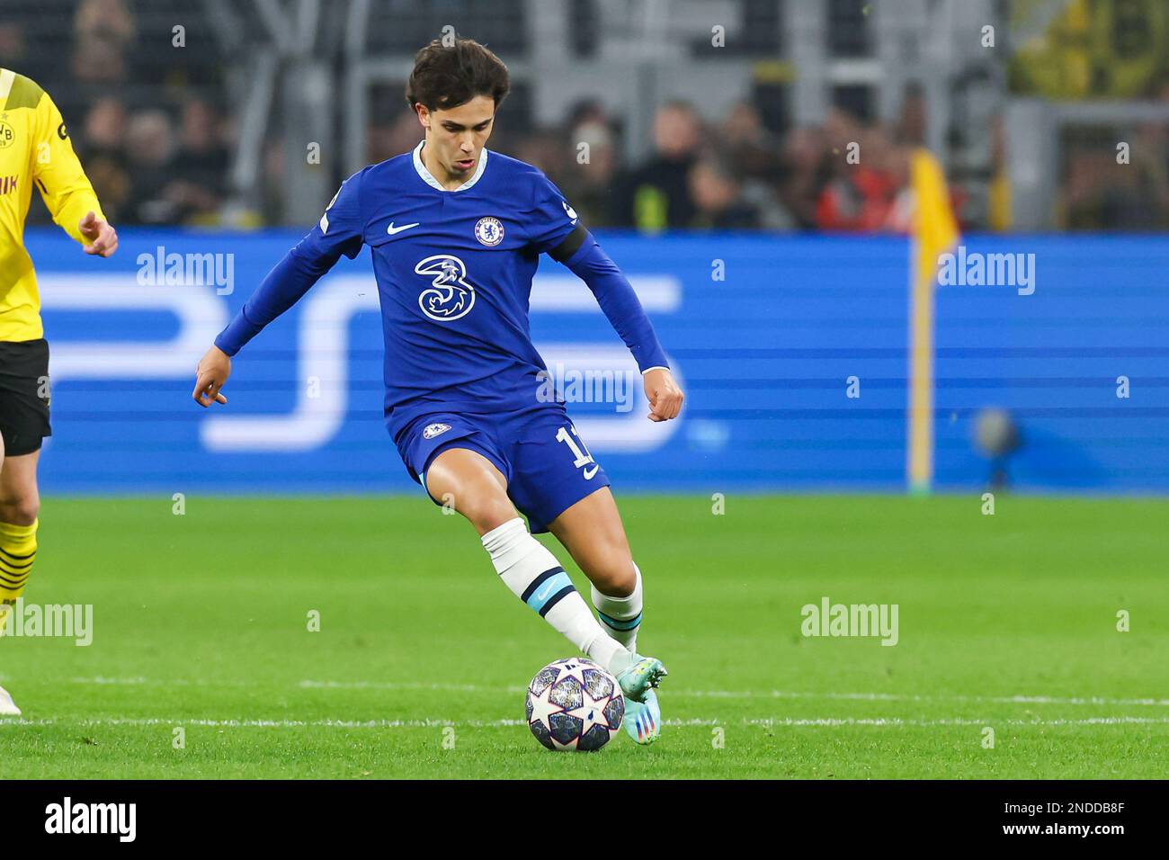 Joao felix 2023 hi-res stock photography and images - Alamy