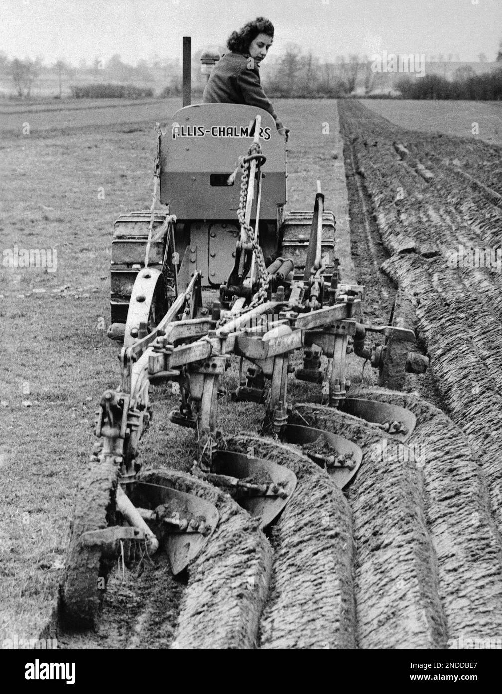 Land Army girls demonstrate their skill to farmers. Audrey Cook ...