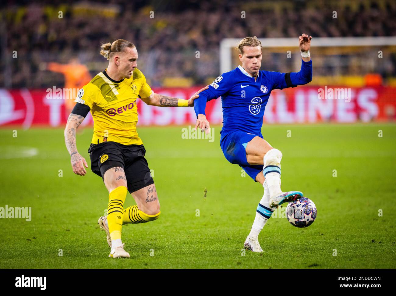 Dortmund, Germany. 15th Feb, 2023. Marius Wolf (BVB) Mykhailo Mudryk ...