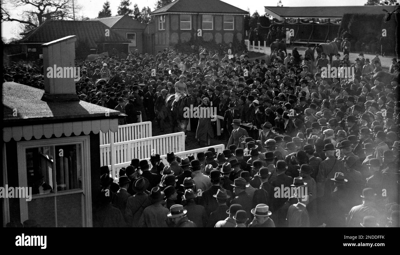Dorothy Paget leading her horse Golden Miller through a huge crowd ...