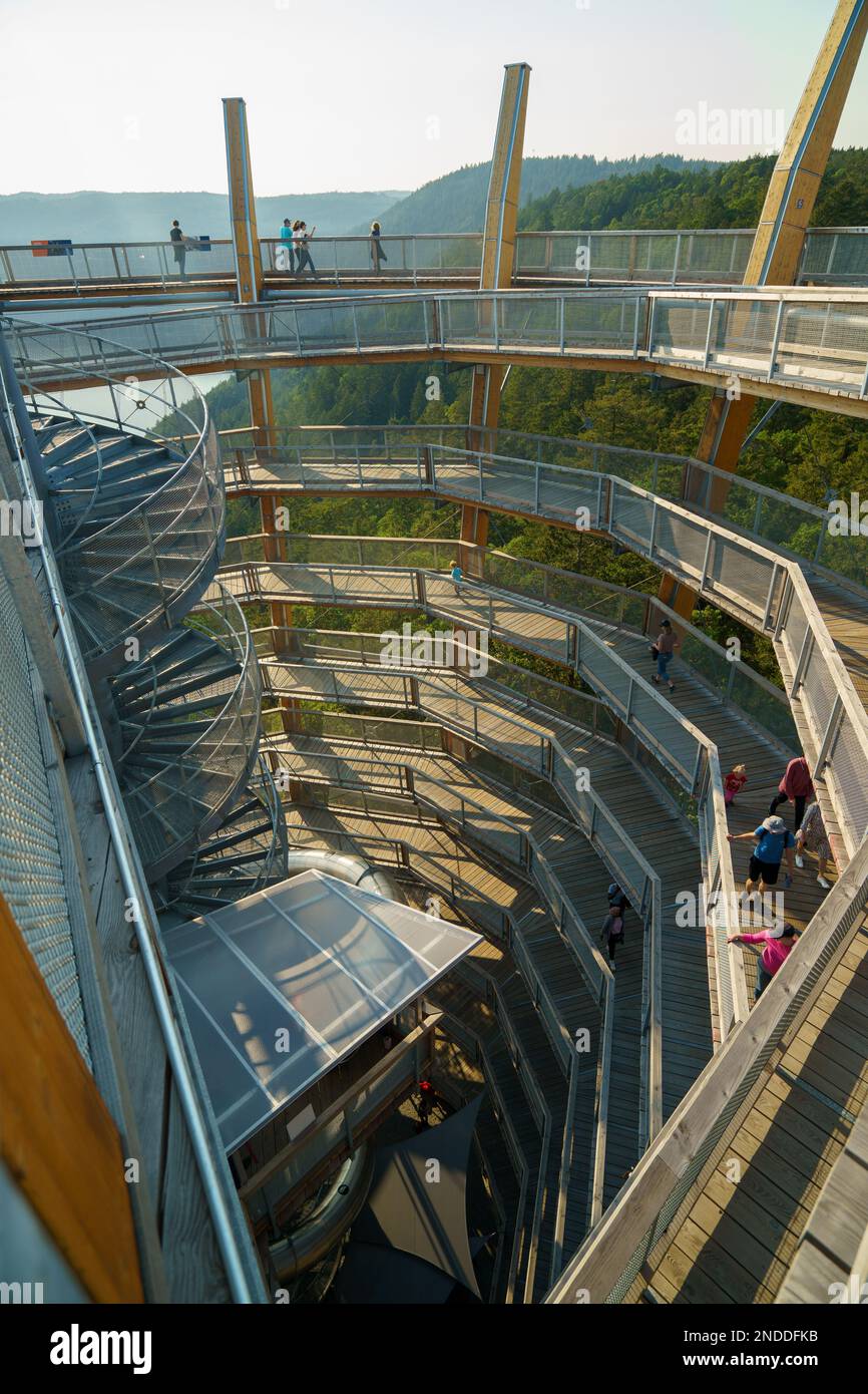 The Malahat Skywalk from the Inside Stock Photo - Alamy
