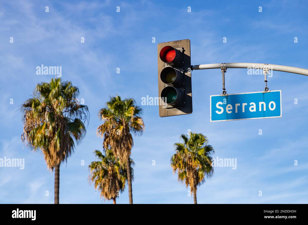 A picture of the North Serrano Avenue sign, traffic lights and palm ...