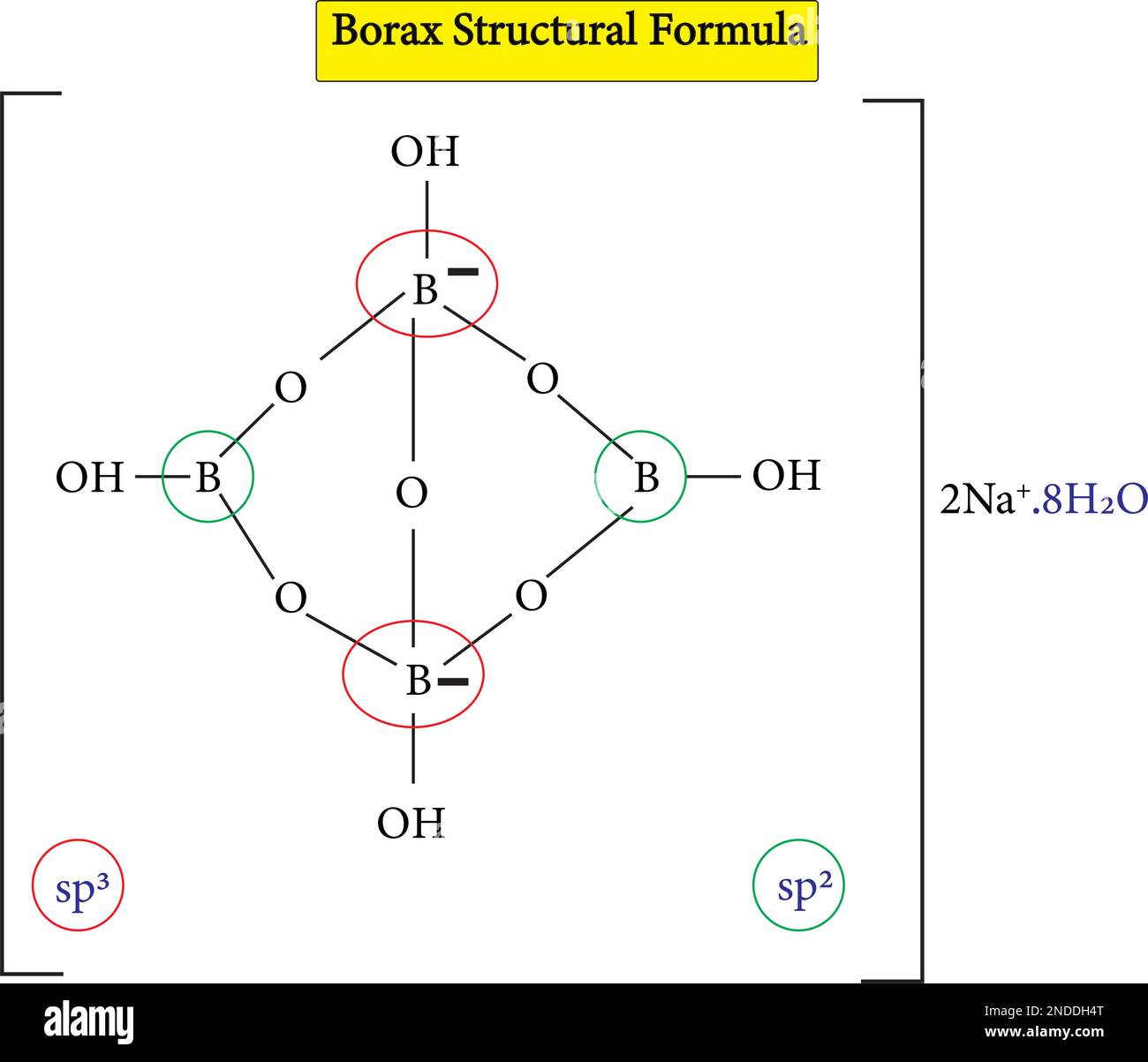 Structure Of Borax Stock Vector Images Alamy