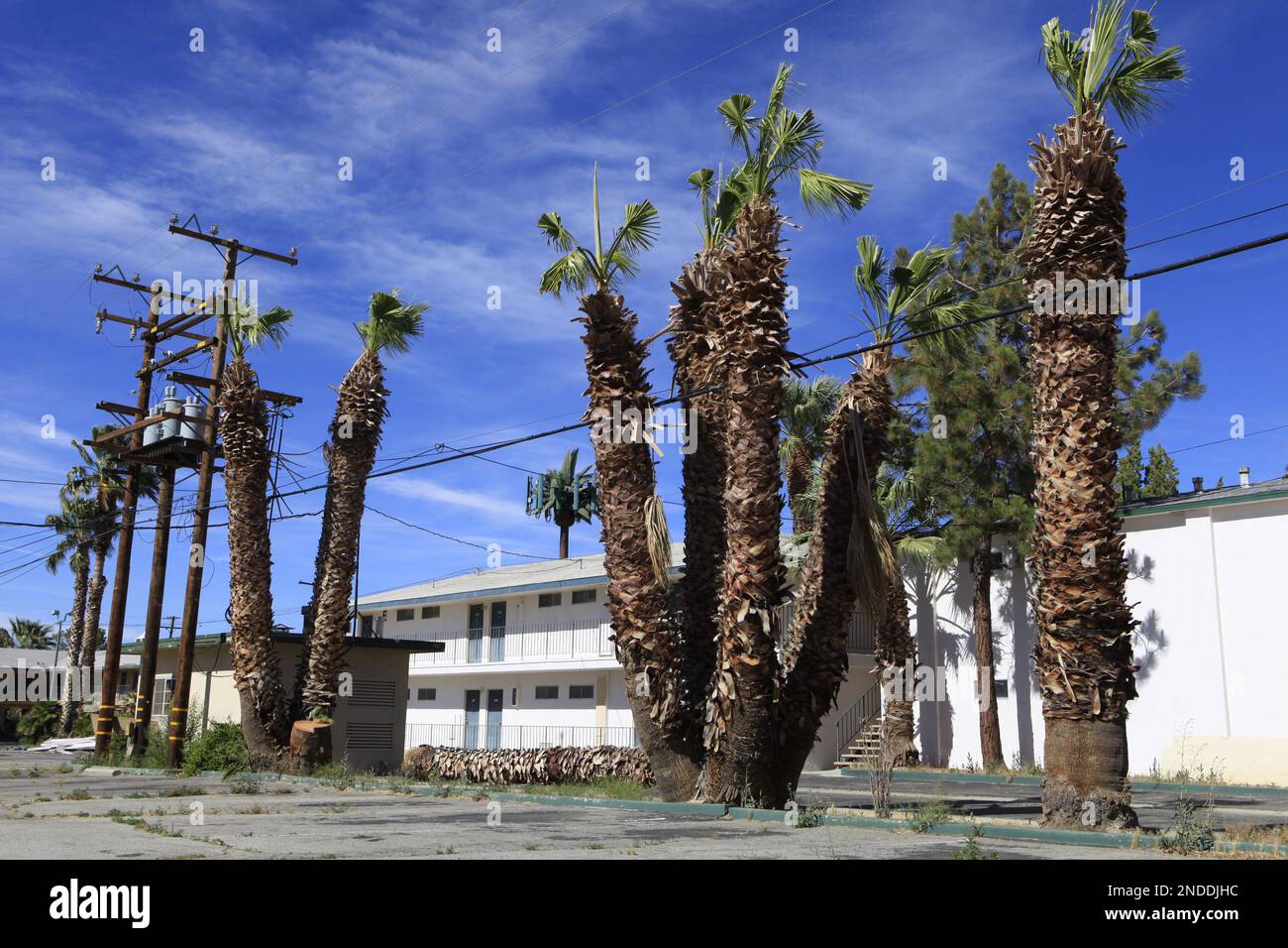 In this photo taken on Thursday, June 3, 2010, the newly remodeled ...