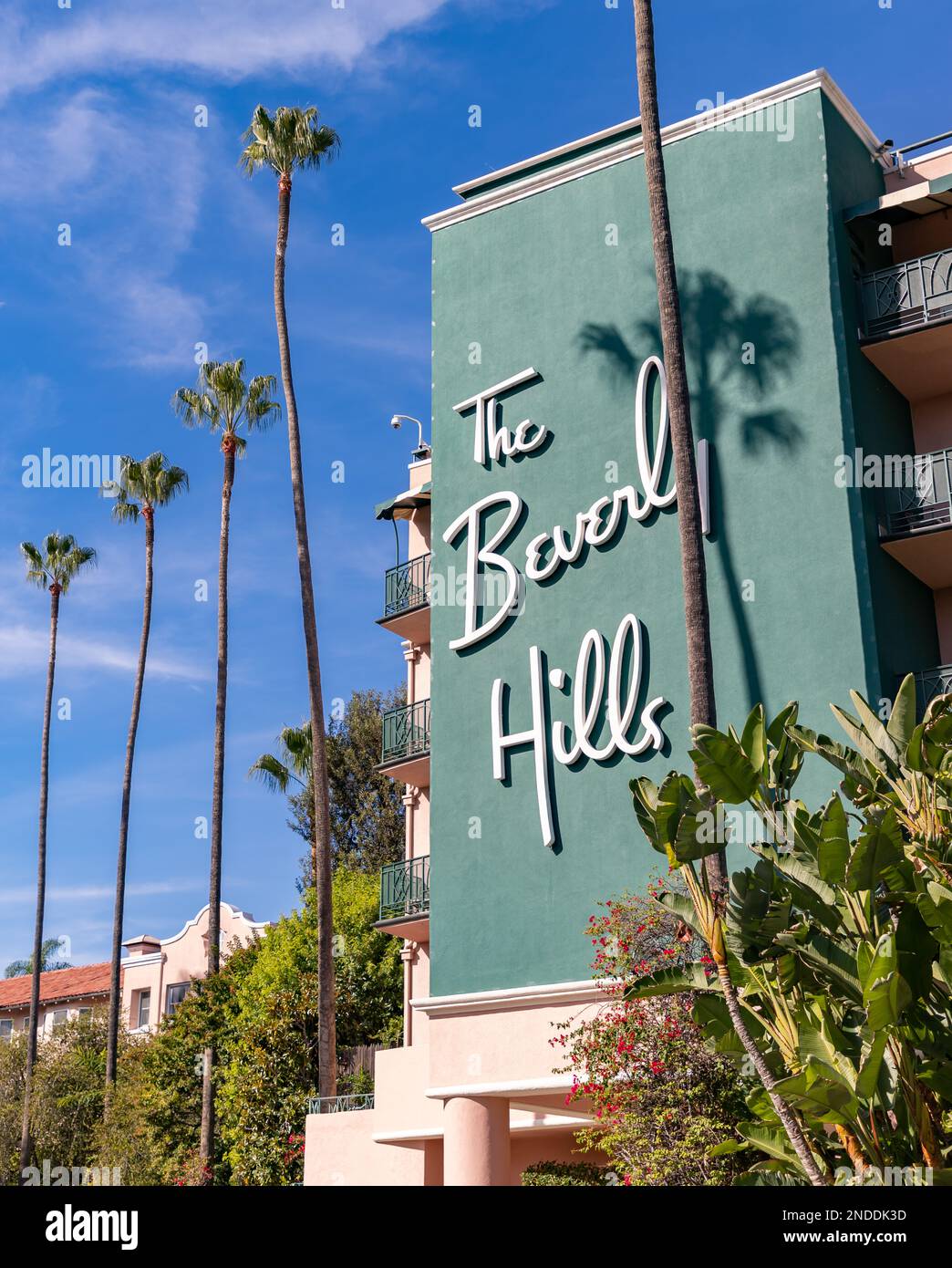 Beverly hills sign palm trees hi-res stock photography and images - Alamy