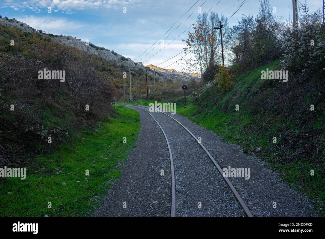 Abandoned tram rails hi-res stock photography and images - Alamy