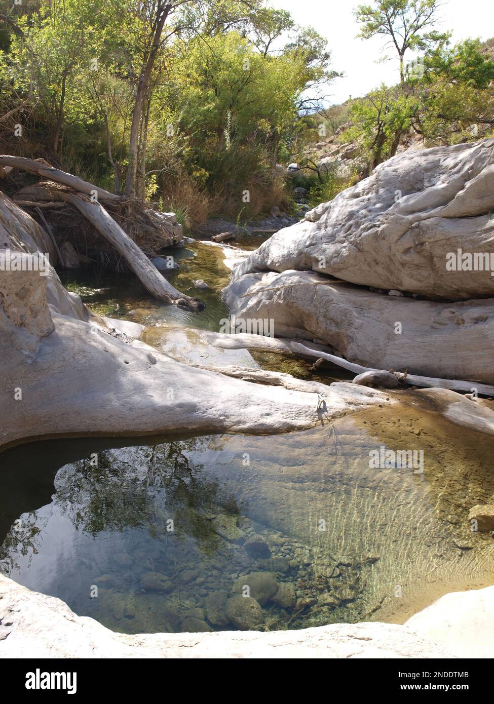 Hiking at Oliver Lee State Park, New Mexico Stock Photo - Alamy