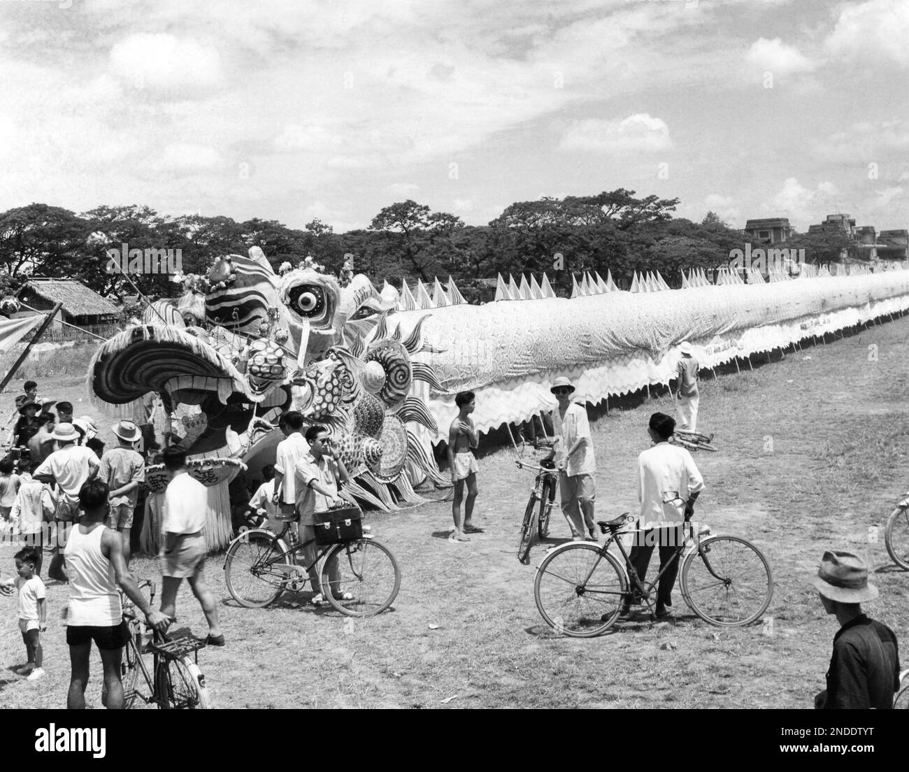 This 500- meter long multi colour dragon is before it was paid in the ...