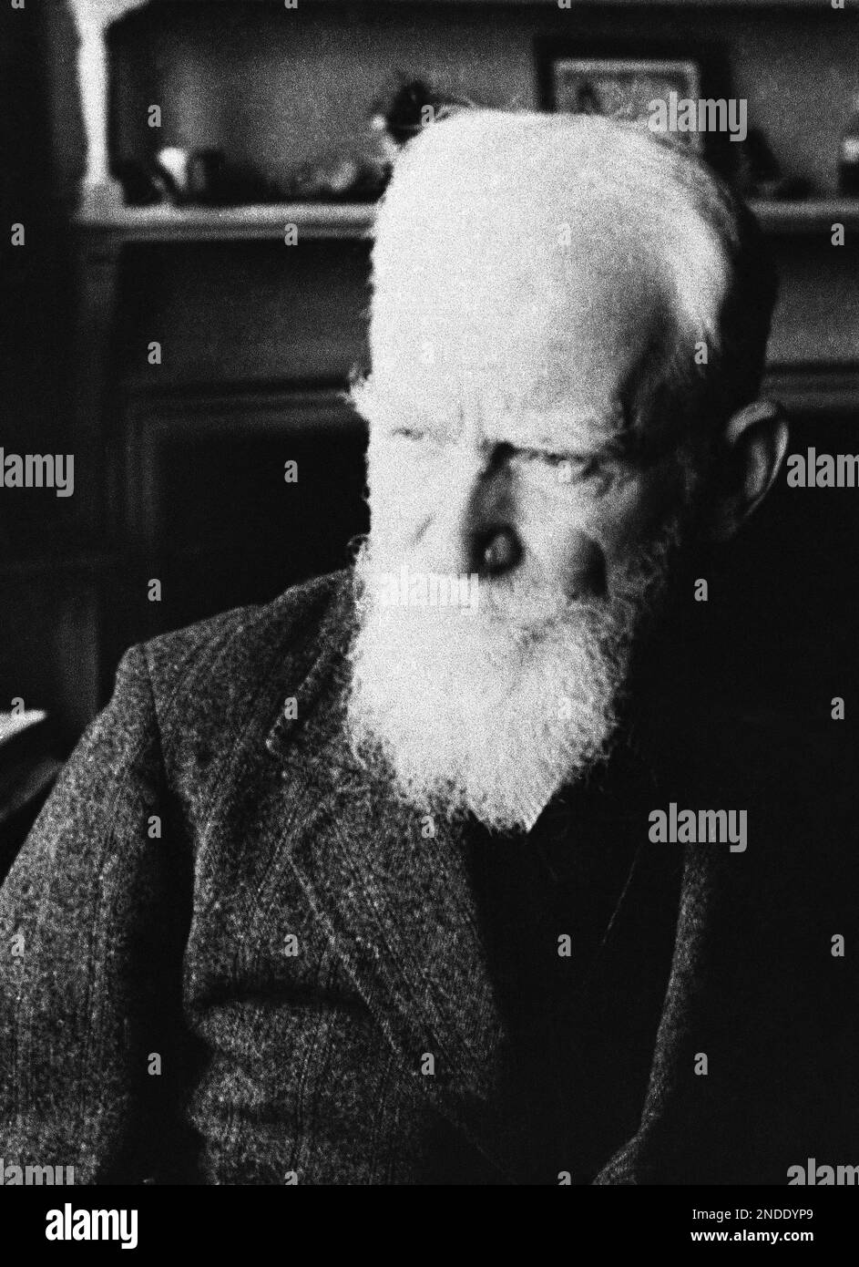 Portrait of Irish playwright George Bernard Shaw taken at his London ...