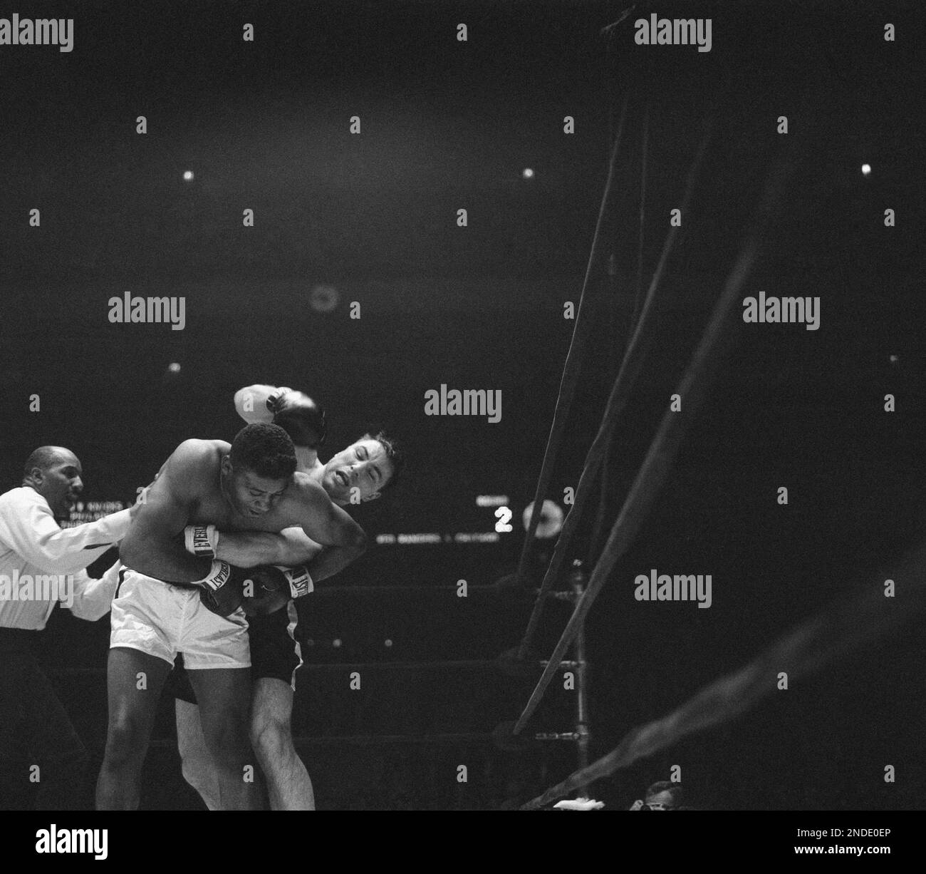 Professional sportsperson action competition aggression strength boxing ...