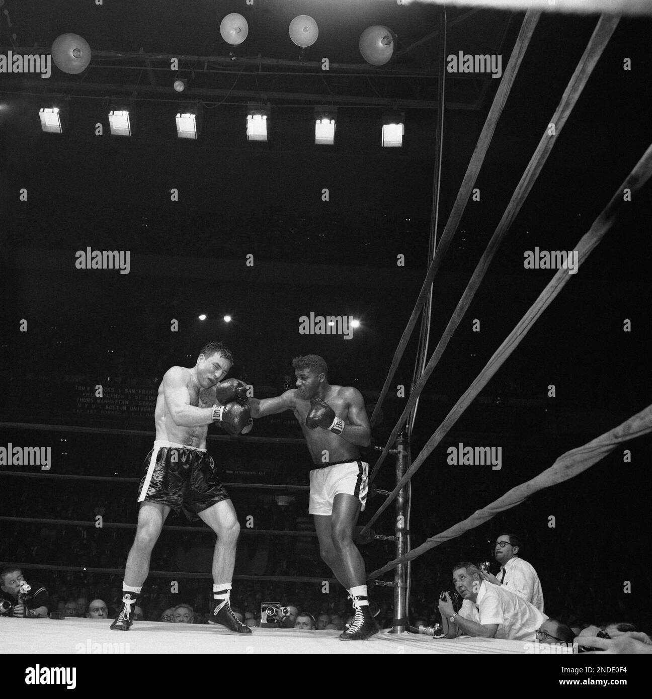 Professional sportsperson action competition aggression strength boxing ...