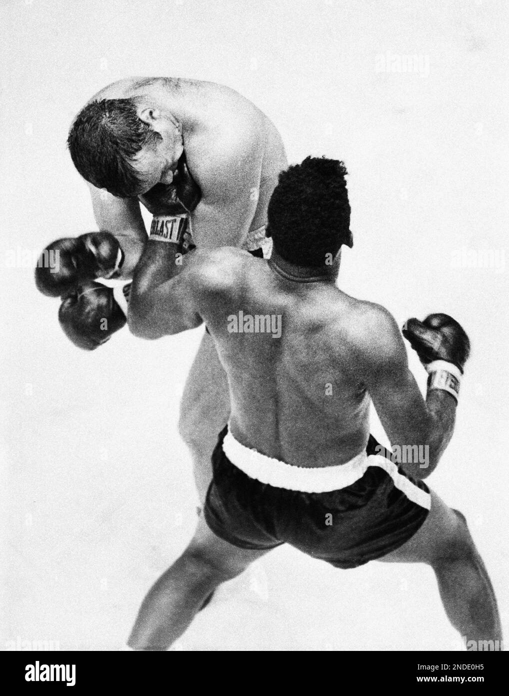 Professional sportsperson action competition aggression strength boxing ...