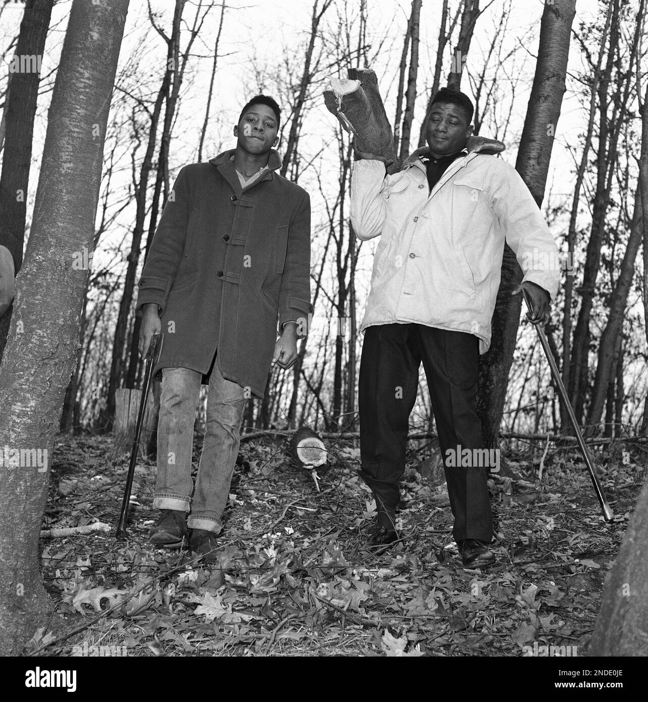 Floyd Patterson carries axe in one hand and total part of tree trunk ...