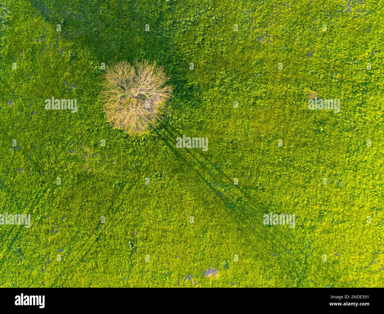 Long drone shot flying directly hi-res stock photography and images - Alamy