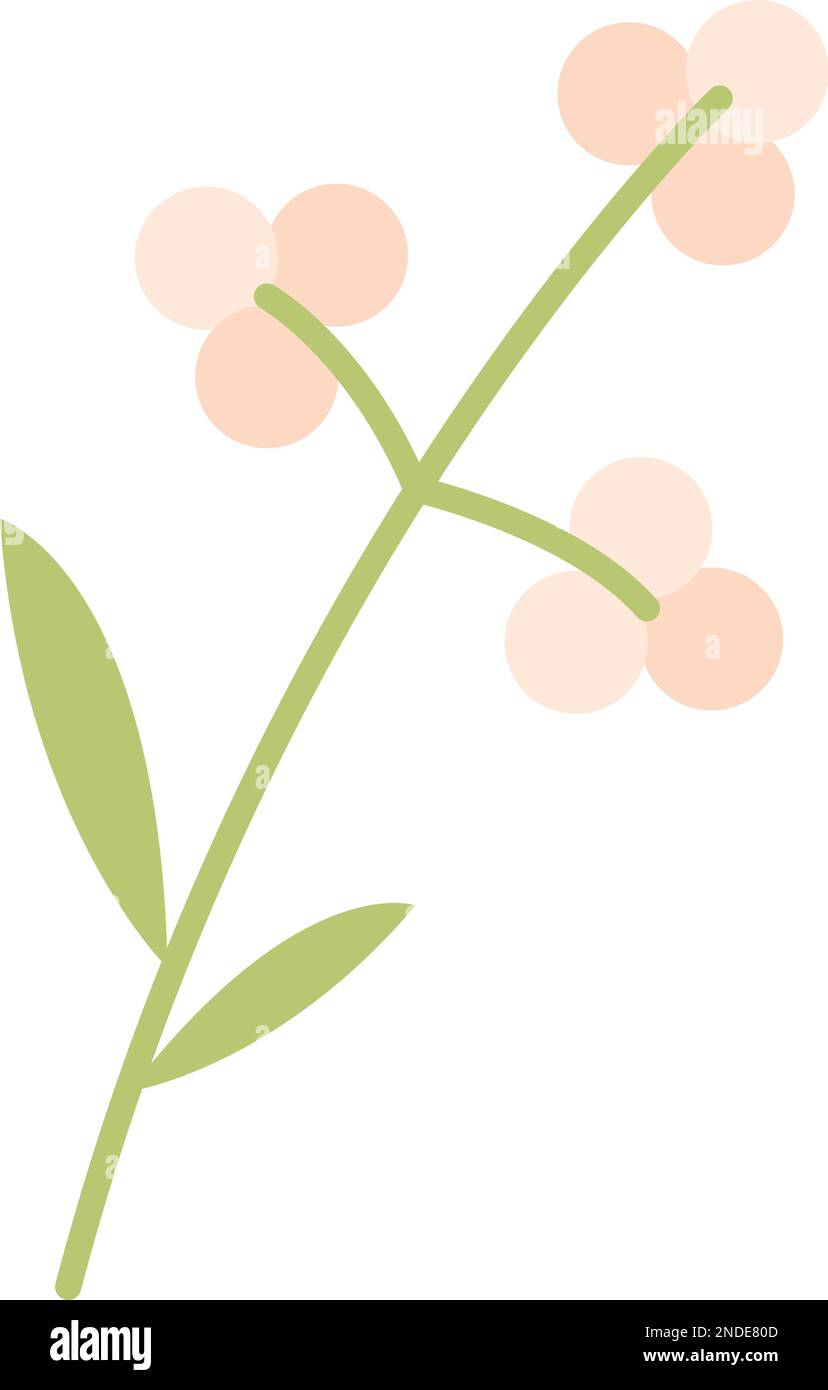 White blossom branch. Natural botany. Floral element isolated on white ...