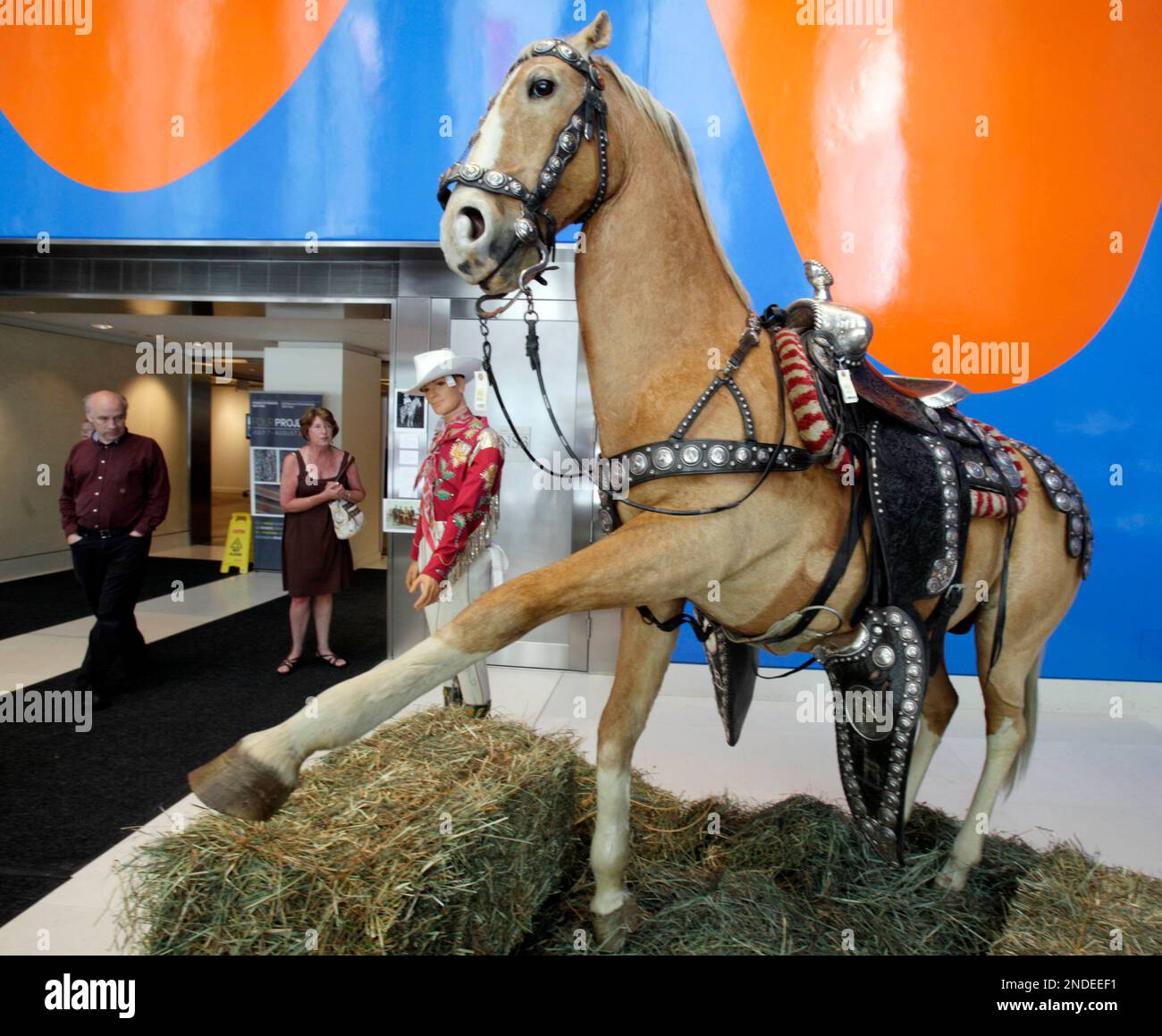 The preserved remains of movie cowboy Roy Rogers horse "Trigger Jr ...