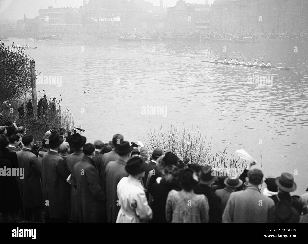 Crowds on the tow path at Mortlake, London, cheer on the Cambridge ...