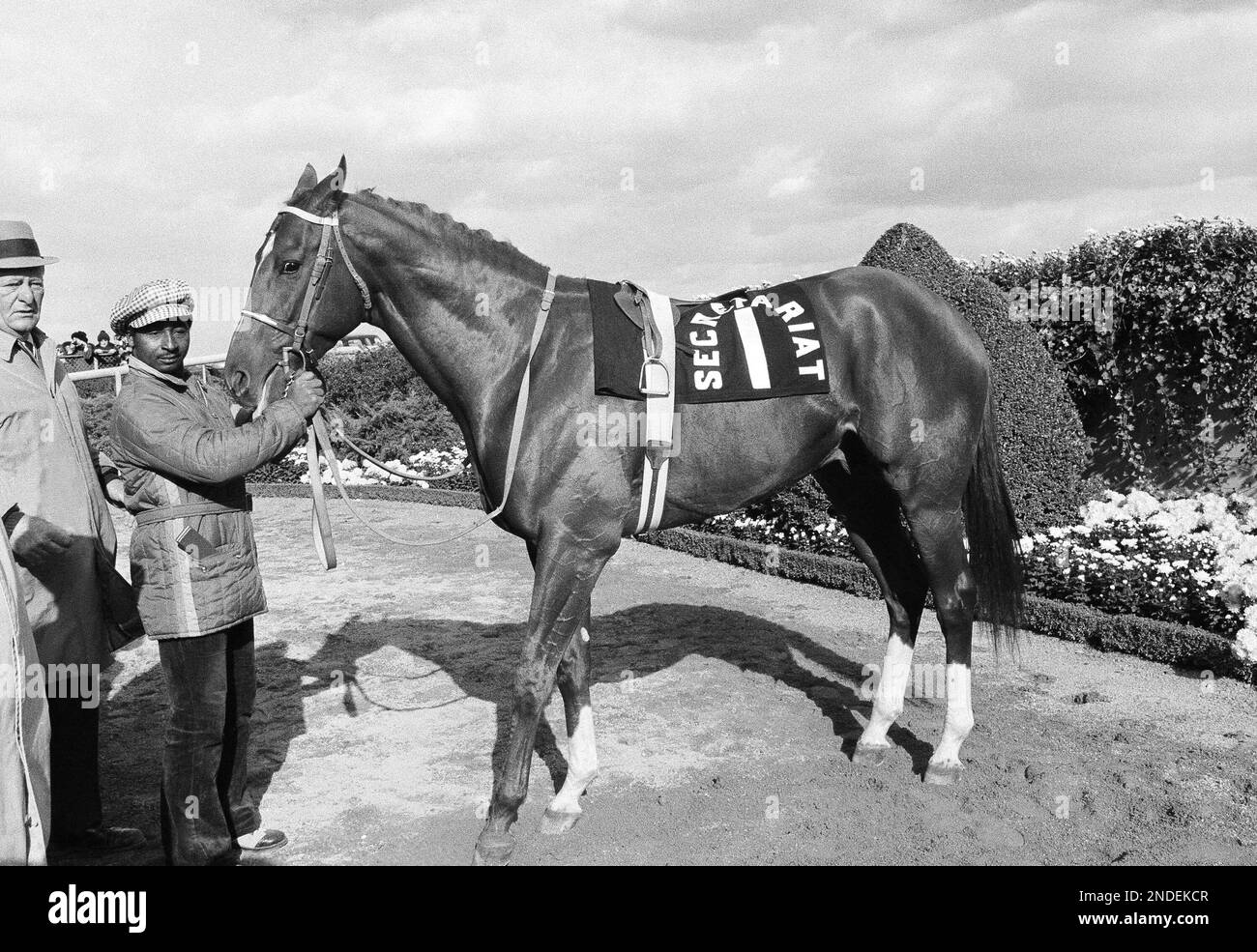 Triple Crown winner Secretariat, is shown at Aqueduct Rack Track in New ...