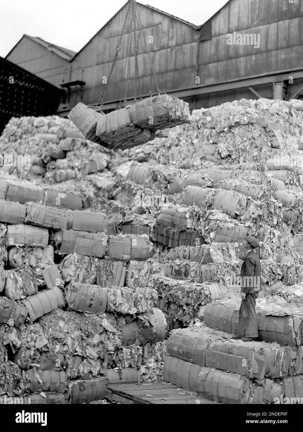 Like the United States and other countries hit by the war born paper ...