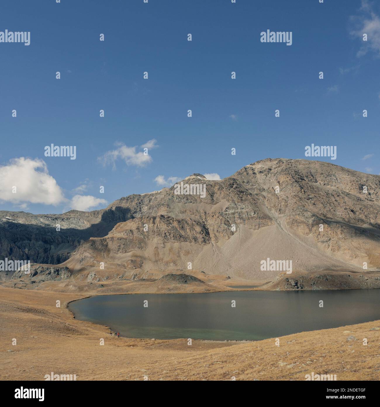 Gran Paradiso National Park (Piedmont, Italy). Summer panorama of the ...