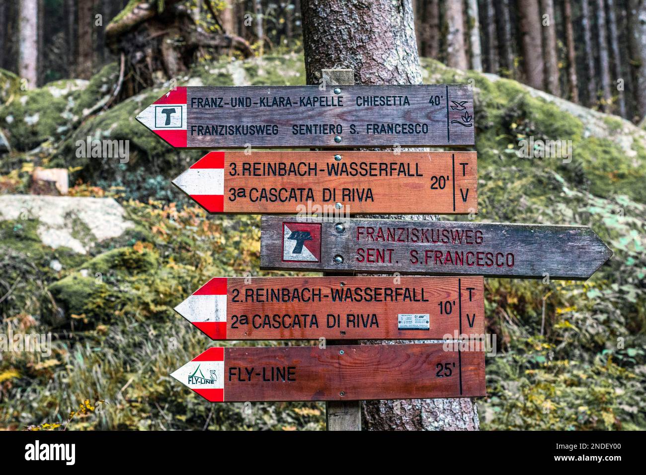 South Tyrol 23th October 2021: Wooden signs in the woods. Indications ...