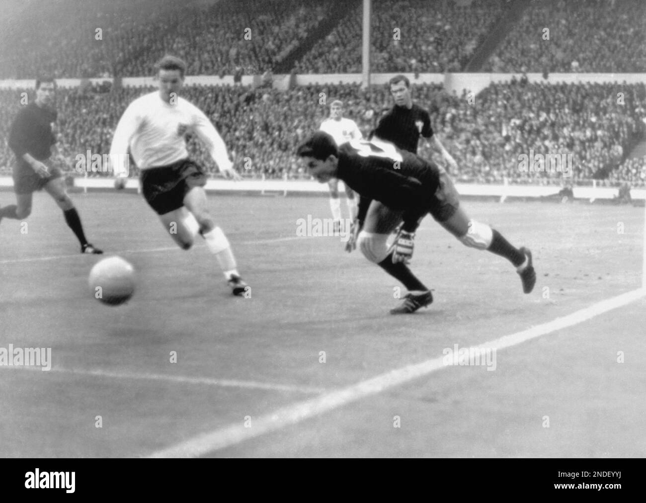 Terry Paine of England, attempts to get to ball before the Mexico ...