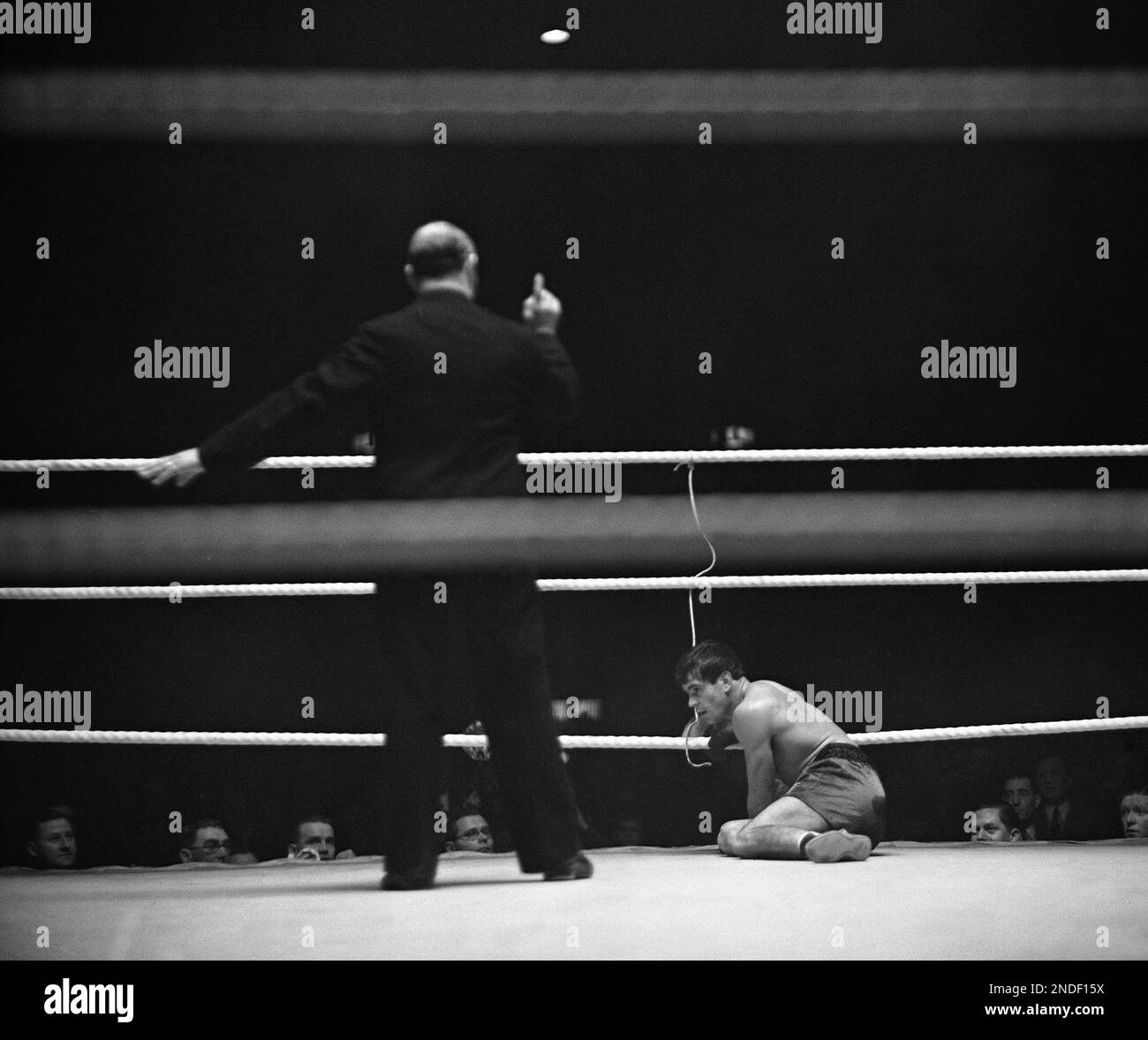 The referee counting out Dave Crowley after he had been knocked out by ...