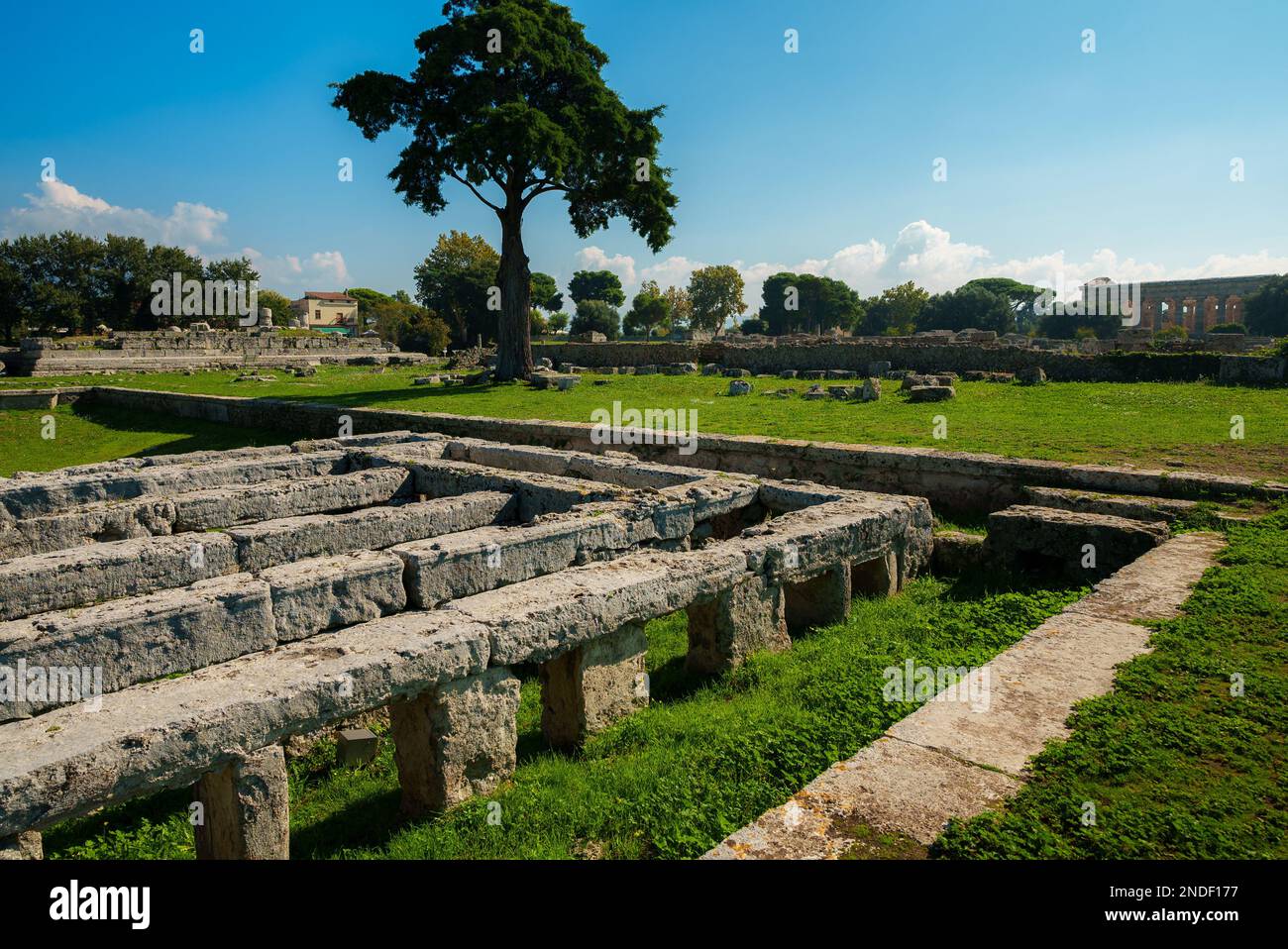 Remains of the ancient city of Paestum dating from about 550 to 450 BC ...