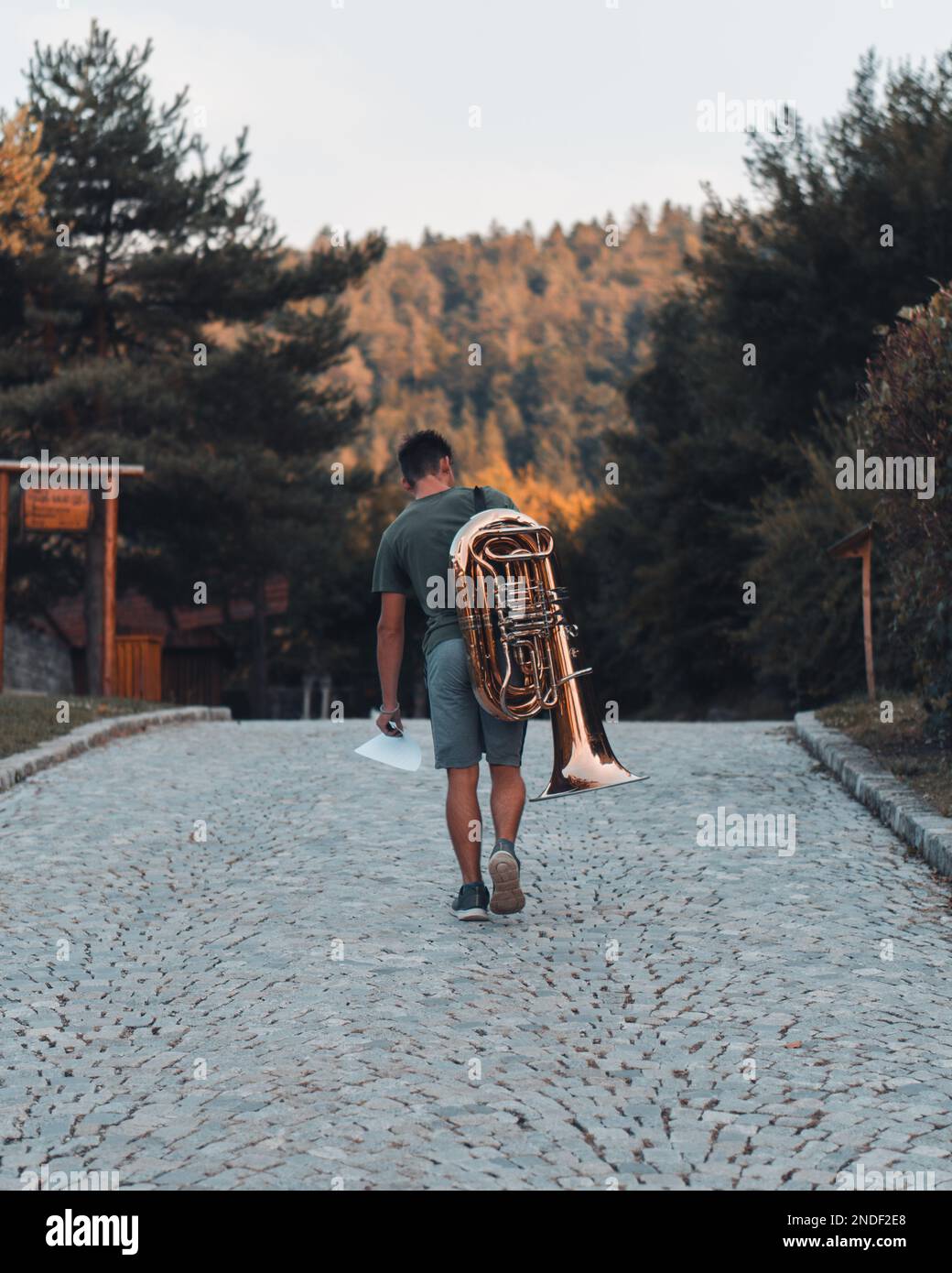 A back view of a man carrying brass music instrument Stock Photo - Alamy