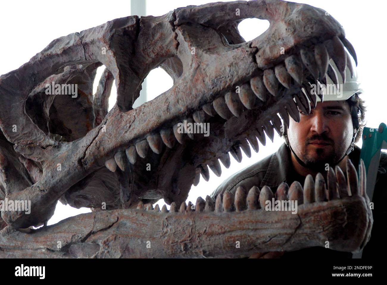 Argentine Museum of Natural Sciences engineer Renzo Dario Arce puts ...