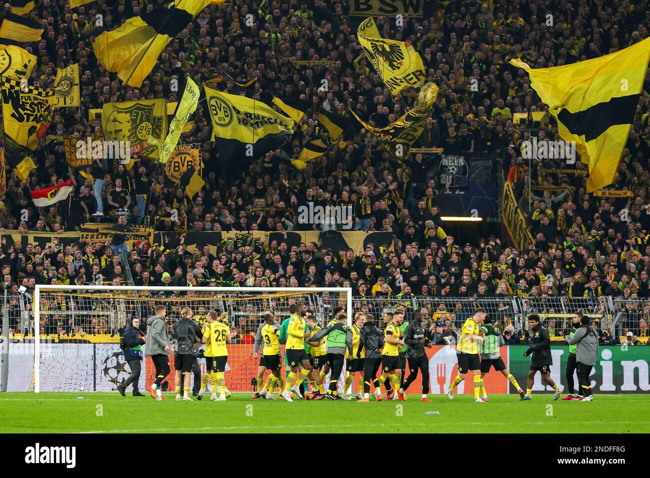 Dortmund, Germany. 15th Feb, 2023. DORTMUND, GERMANY - FEBRUARY 15 ...