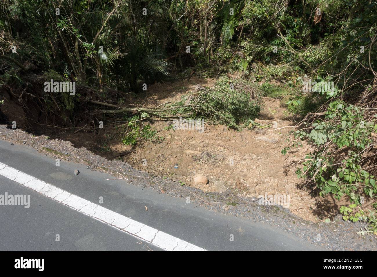 Following tropical storm Cyclone Gabrielle a land slip has occurred ...