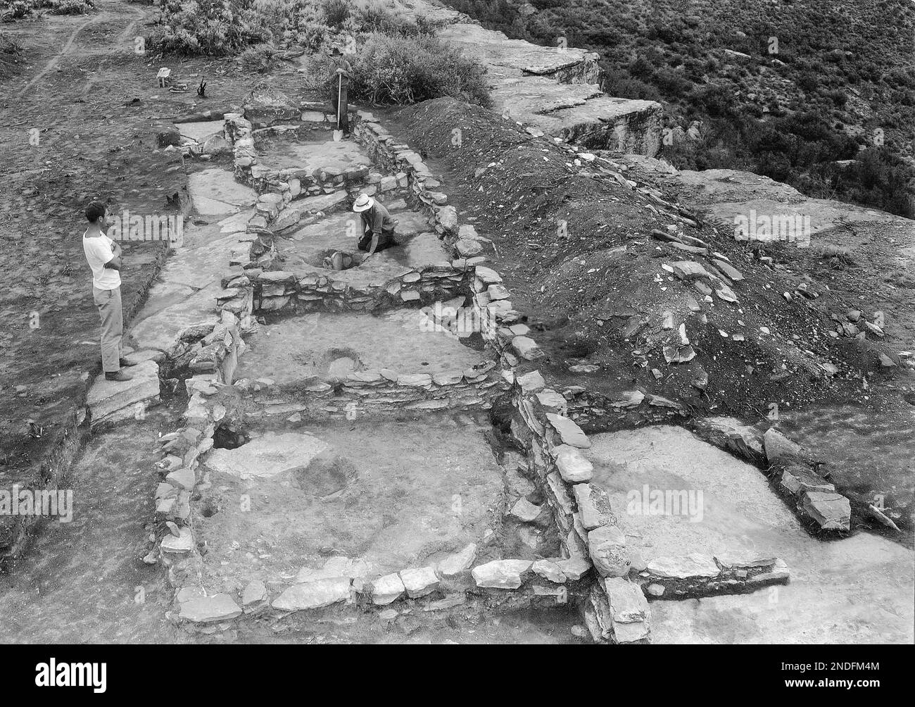 A member of an archaeological expedition from the Field Museum ...