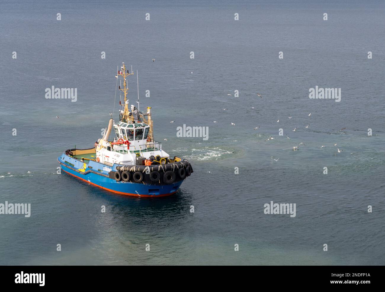 Punta Arenas, Chile - 27 January 2023: Tug Boat escorting cruise ship ...