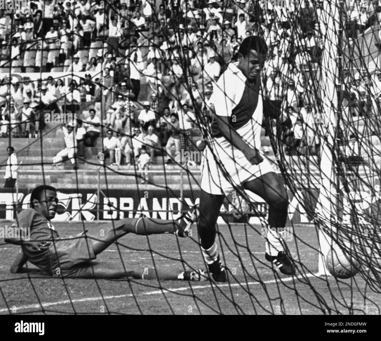 Teofilo Cubillas scores first goal for Peru during Soccer World Cup ...