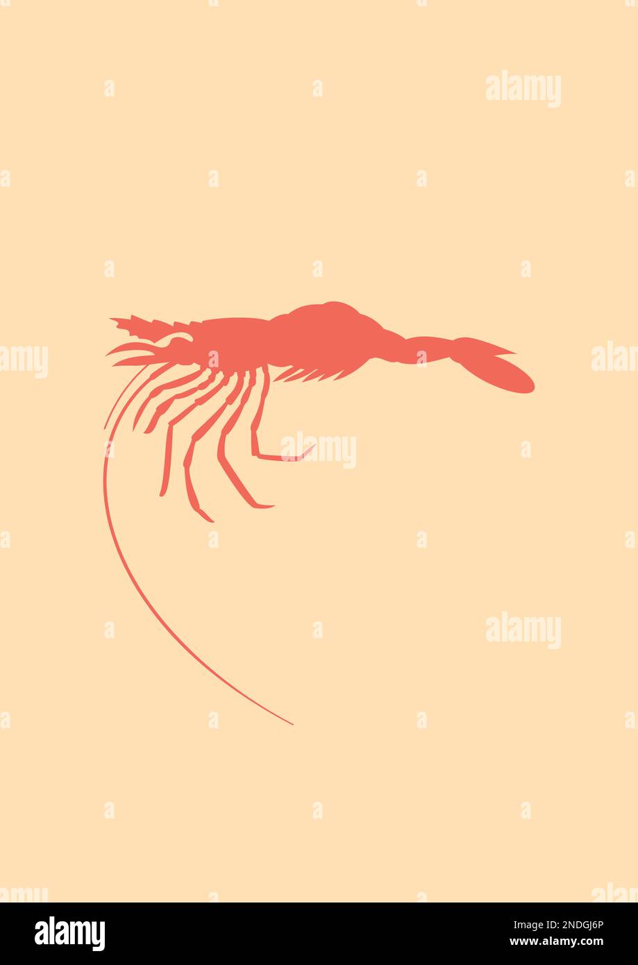 Red cooked shrimp. Side view silhouette. Isolated vector illustration ...