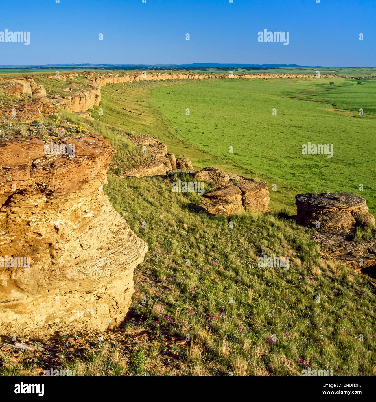 sandstone outcrop known as the big wall extending across the prairie ...